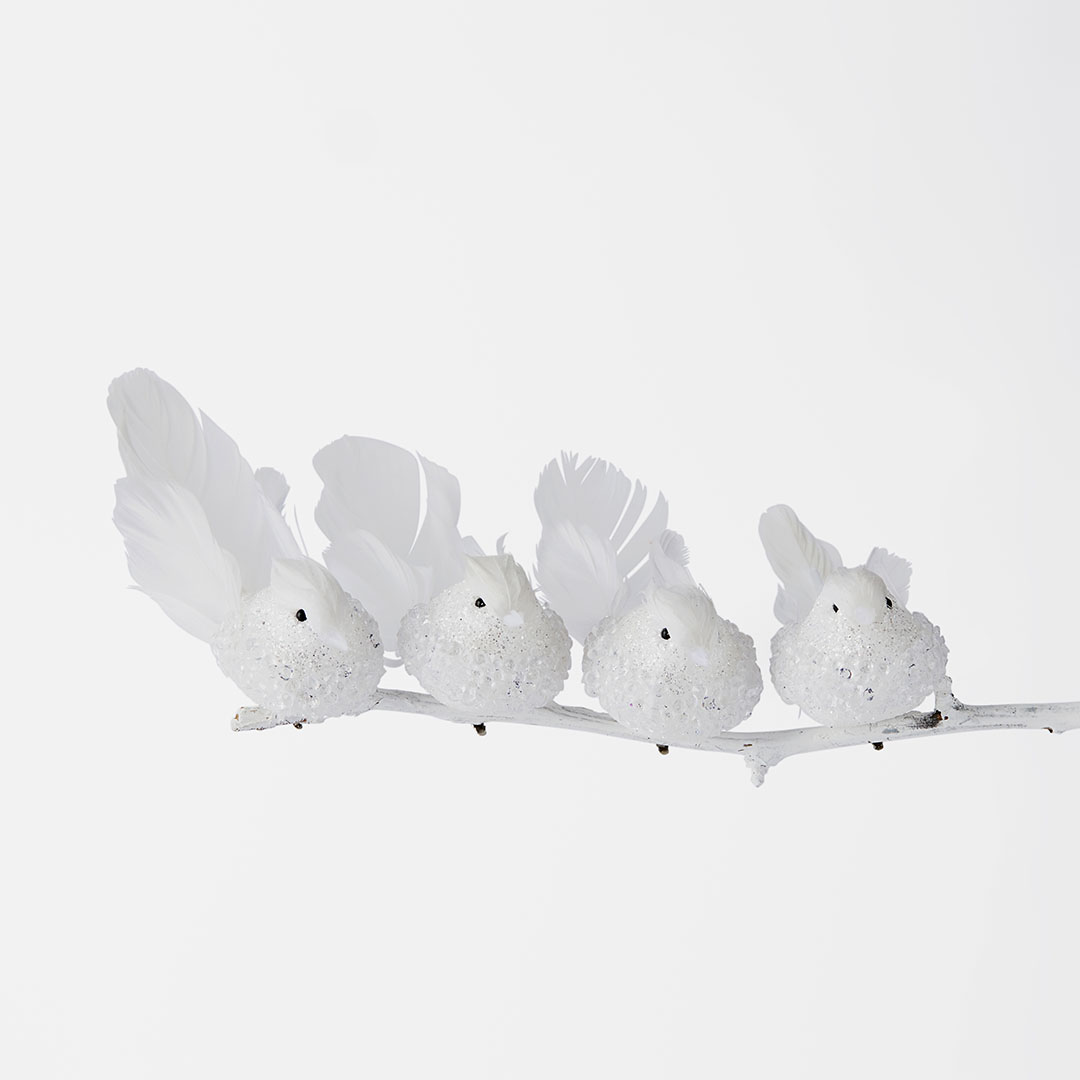 Shop Feather Bird On Clip With Beads Set Of 4 - White Online | Bed Bath ...